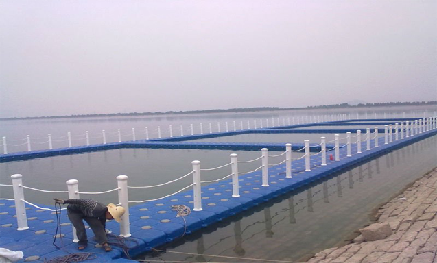 Fish breeding cage (square) | iranpash