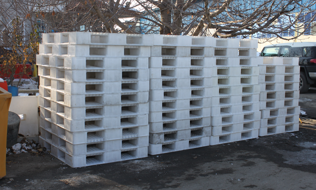 Normal pallet | iranpash